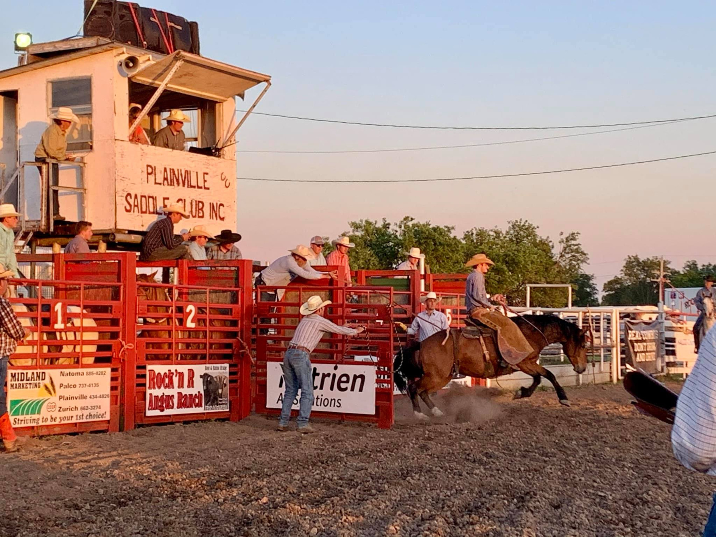 Paradise Creek Festival & Rodeo - Plainville, KS