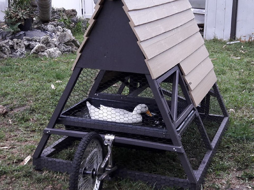 Duck Tractor | mysite