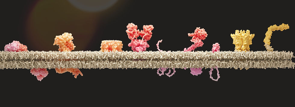 The Visual Thinker | Scientific Visual Communicator | Scientific ...