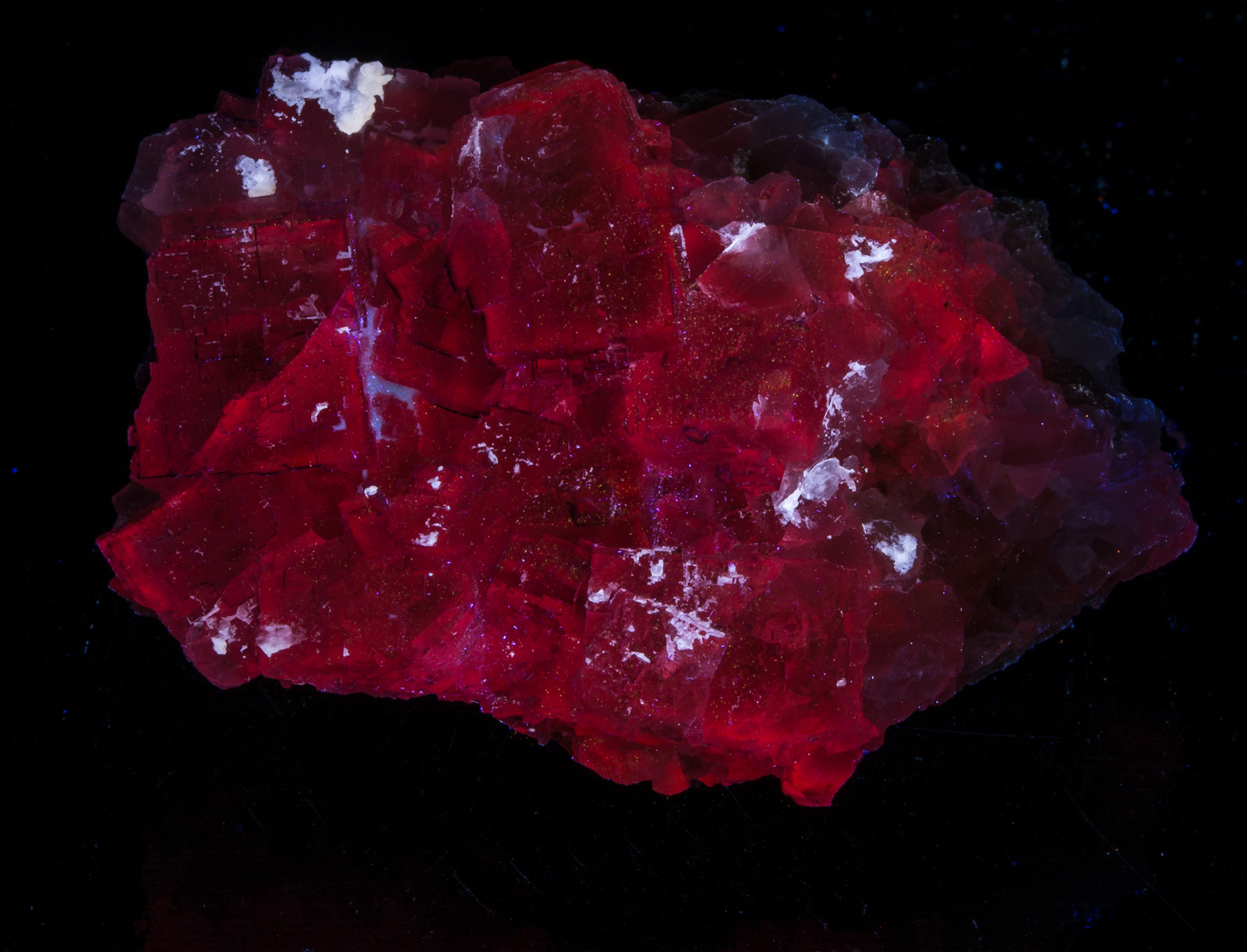 Red Fluorescent Fluorite Longwave - Mexico | NaturesRainbows ...