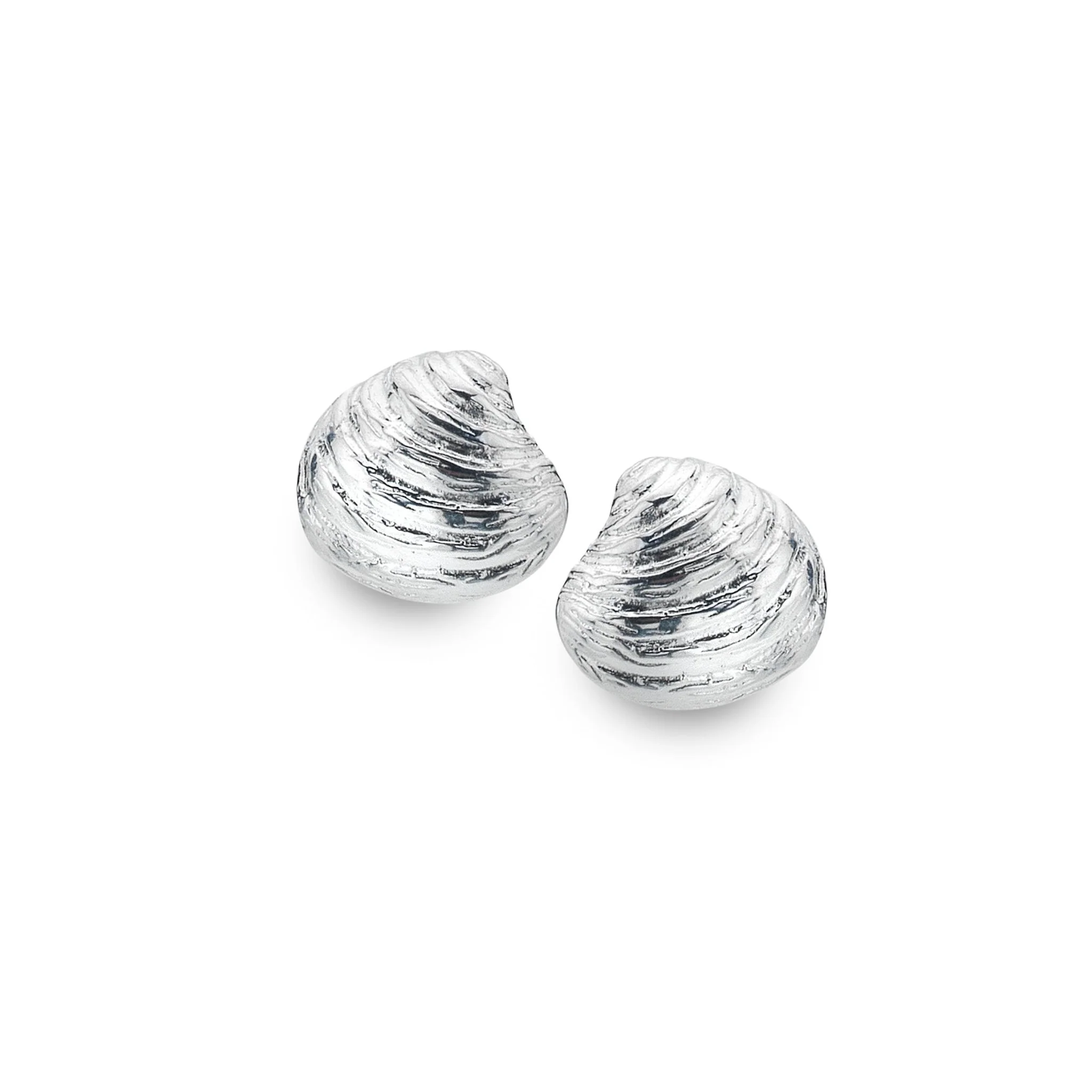 Mounts Bay Clam Shell Earrings | Sennen Jewellery
