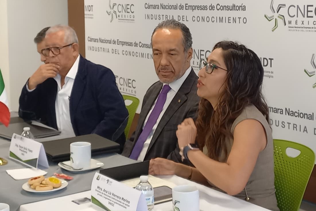 Presenta INEGI indicadores clave de los Censos Económicos 2024 para el ...