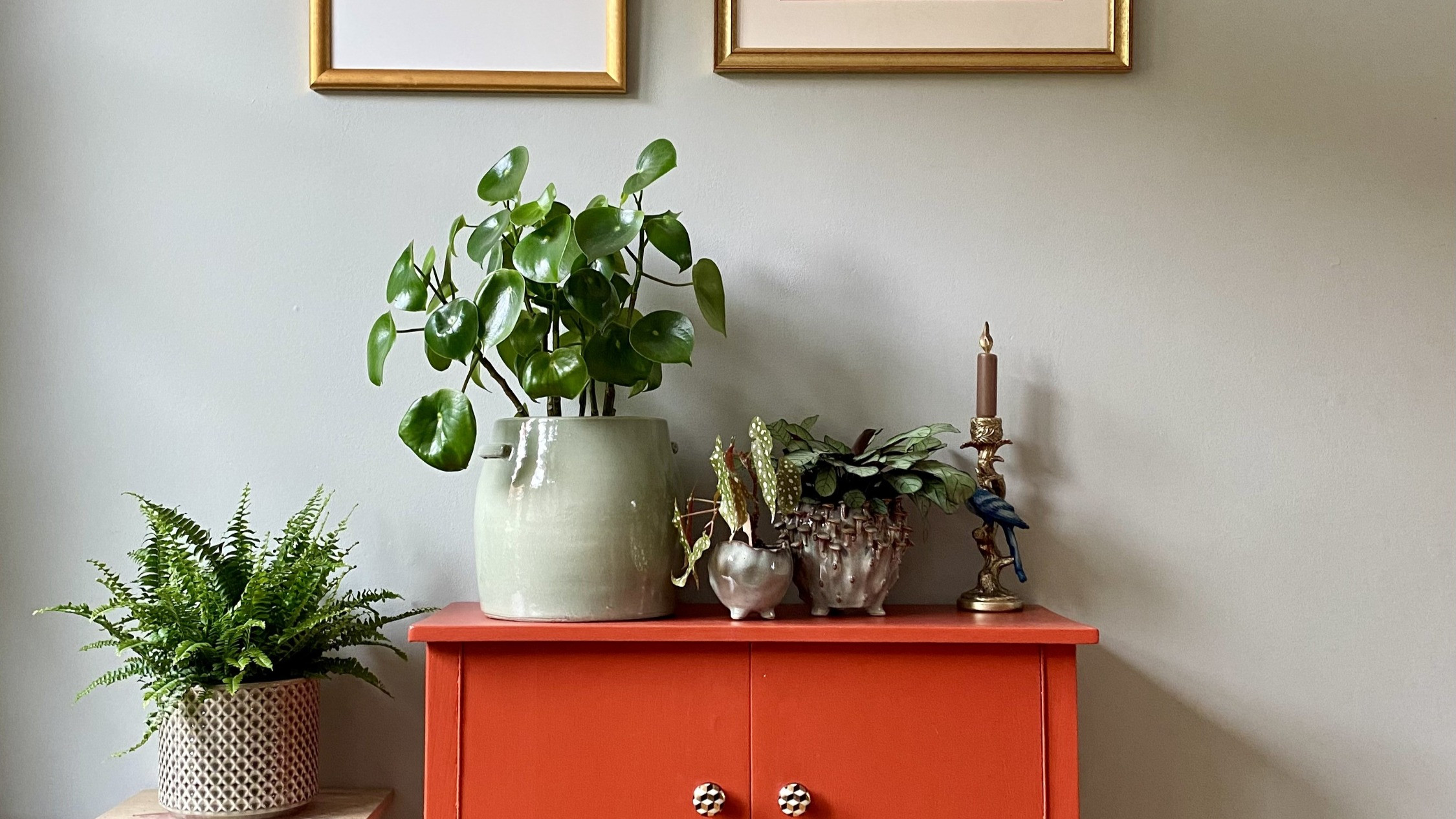 Interior Refresh | Dolfing Design