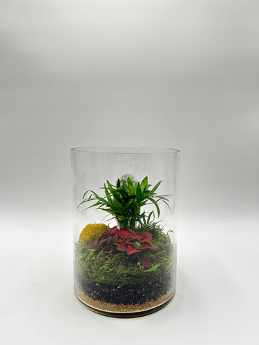 Cylinder Glass Terrarium | Flori-Design Inc.