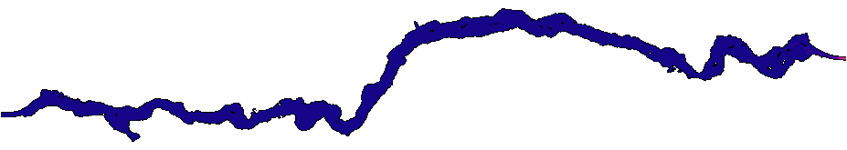 Quantum-inspired software for water modelling