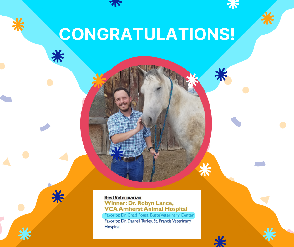 Dr. Chad Foust voted Top 2 in Best of Butte and Beyond