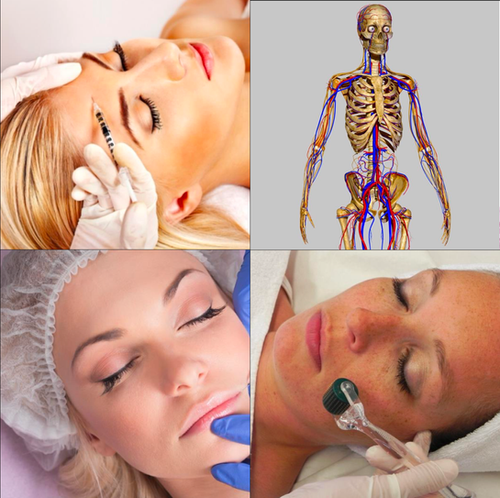 Foundation Anti Wrinkle/Dermal Fillers Combined (In House) | LC Beauty ...