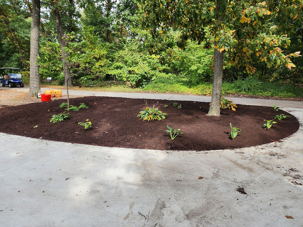 Too Mulch to Talk About