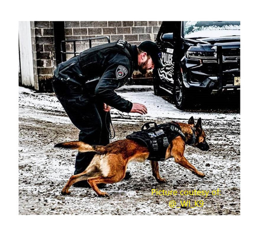 ECHO-4 K9 Vest - Patrol, Tracking, SAR, Tactical Deployment | Titan ...