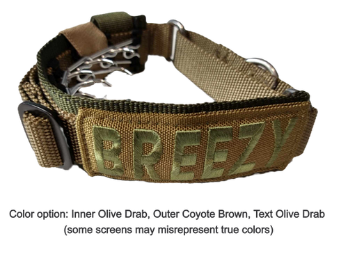 Prong Concealment Collar - Links included - Sewn On ID Patch | Titan ...