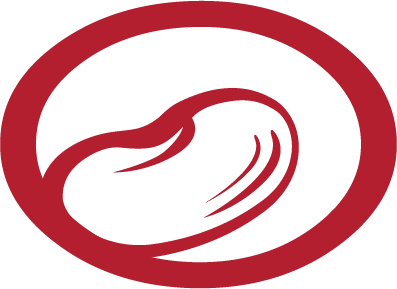 Shop | Tantia Designs