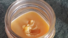How to make Bear Grease & What is Bear Grease for?