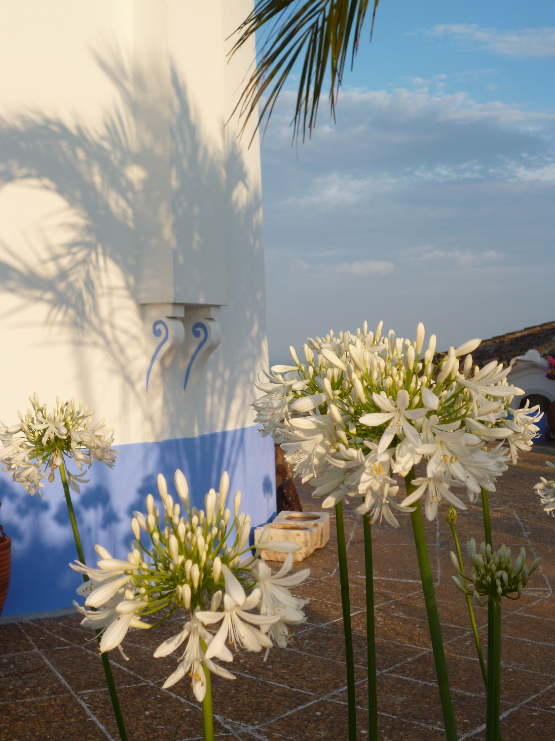 Moinho do Marco, Setúbal, Portugal.