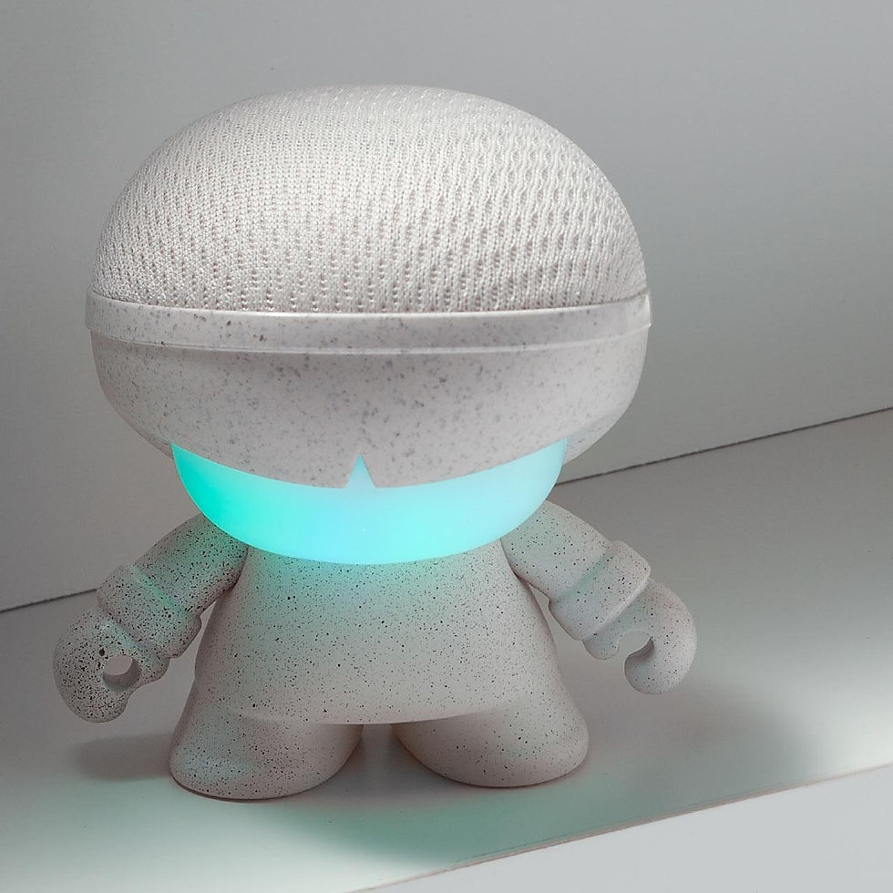 2271 | XOOPAR BOY XOOPAR BOY SPEAKER MINI | DTI