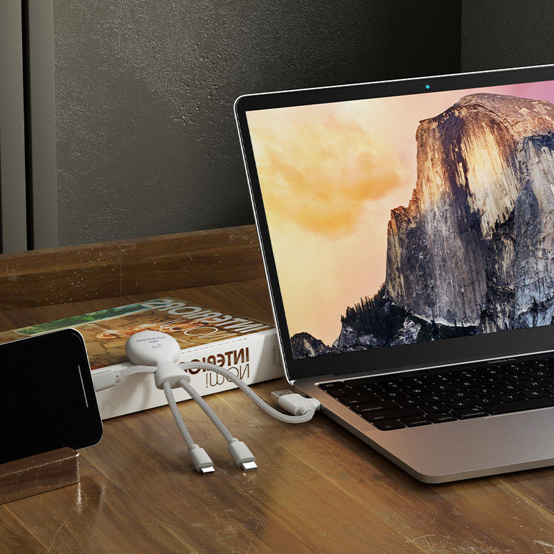 2099 | XOOPAR MR. BIO SMART CHARGING CABLE WITH NFC | DTI