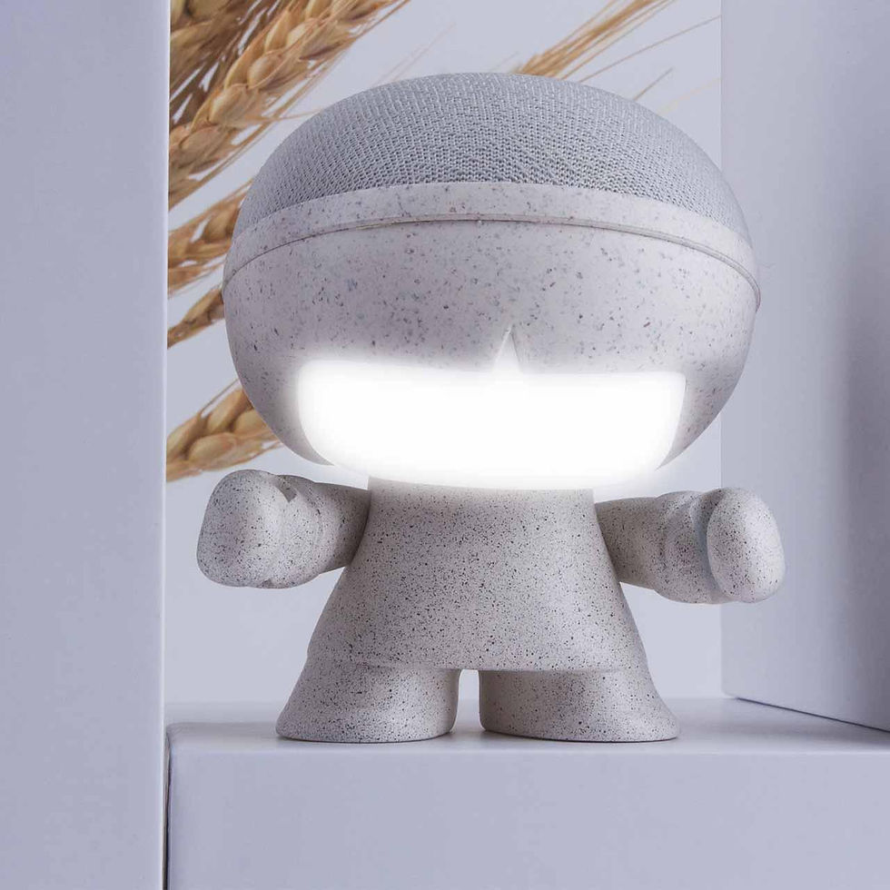 2271 | XOOPAR BOY XOOPAR BOY SPEAKER MINI | DTI