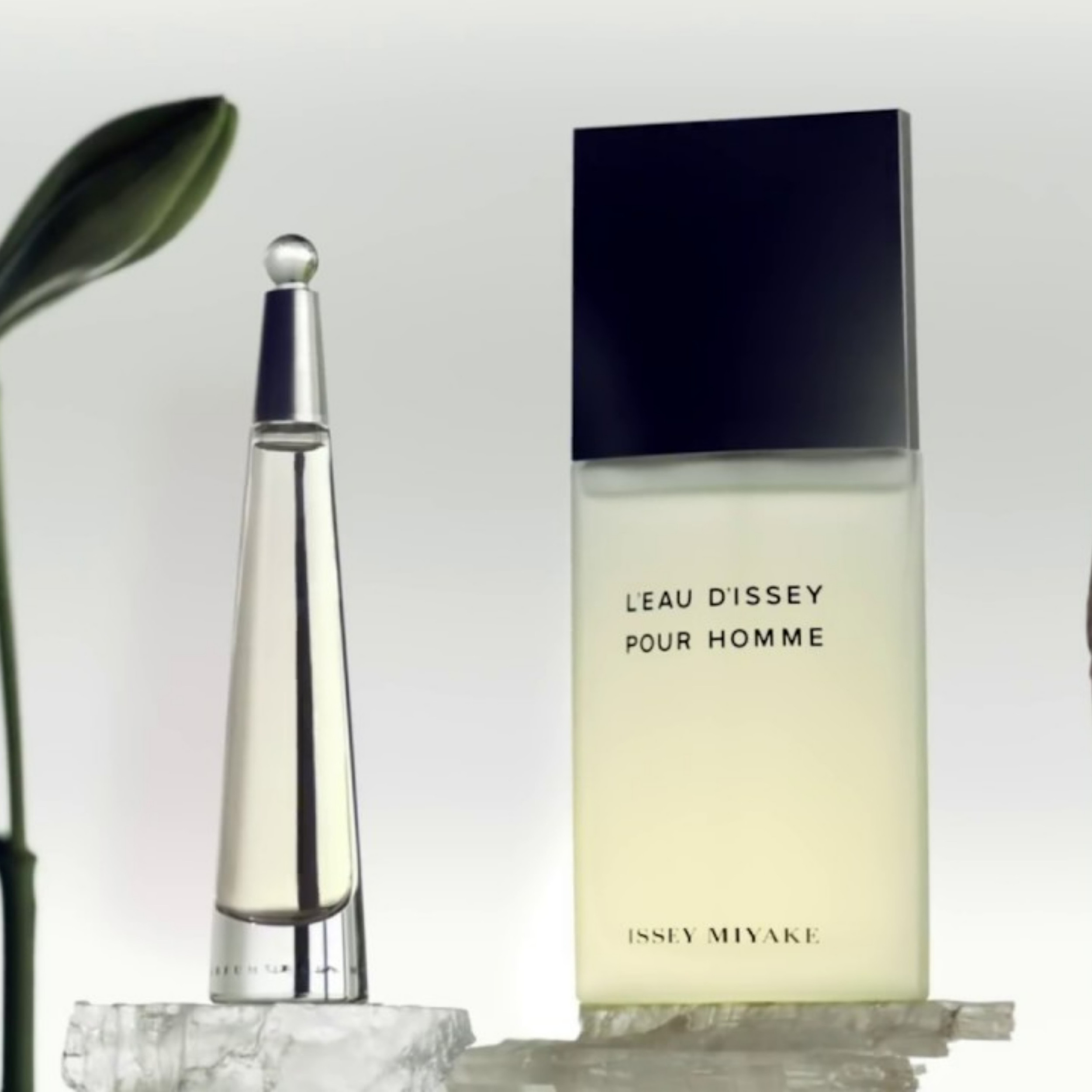Issey Miyake | yangonbranded
