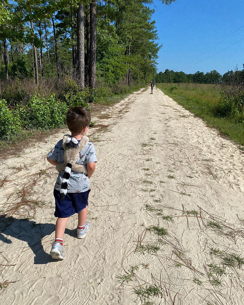 Carvers Creek State Park - Long Valley Farm Road Access Site - Spring ...