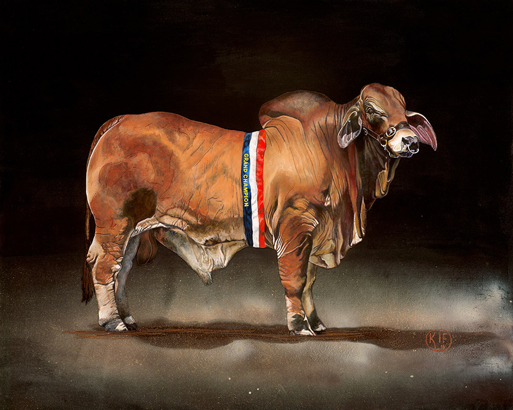 GALLERY | The Bull Artist