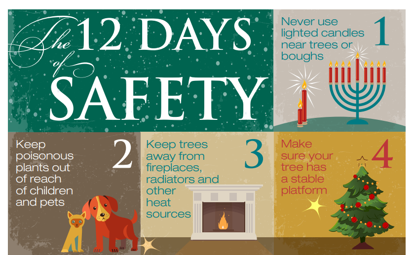 12 Days of Safety