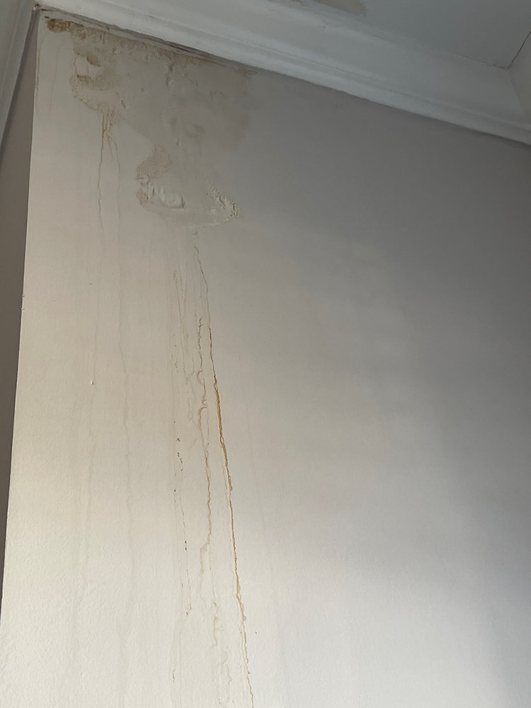 Understanding Water Intrusion: Common Causes and Prevention Tips