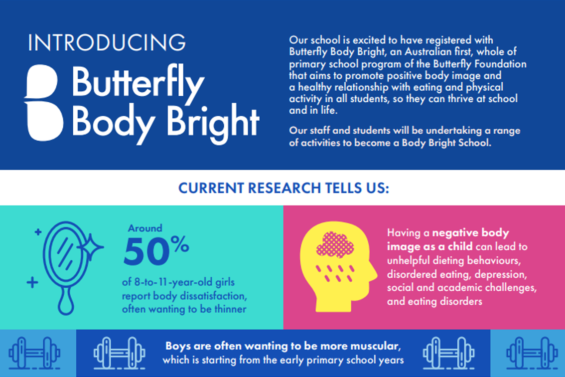 Butterfly Body Bright