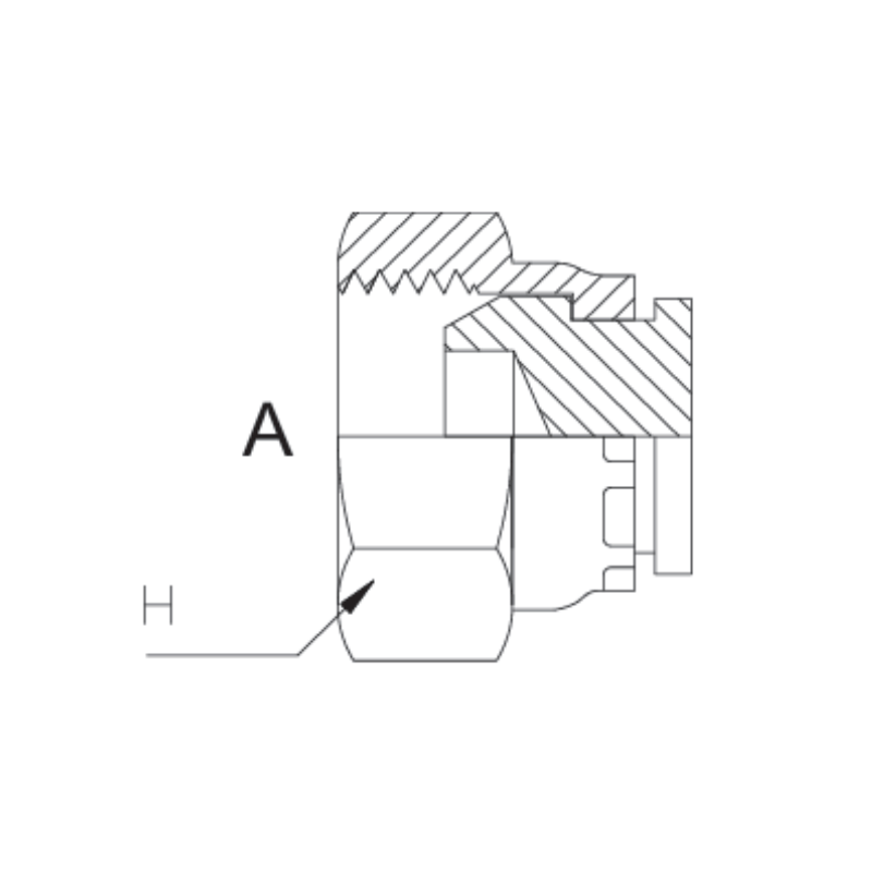 9B BSP Cap | Spot On Hose and Fittings