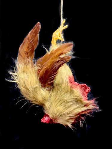 ANIMAL PROP CHICKEN DISMEMBERED BROWN HEADLESS | Haunts Fx