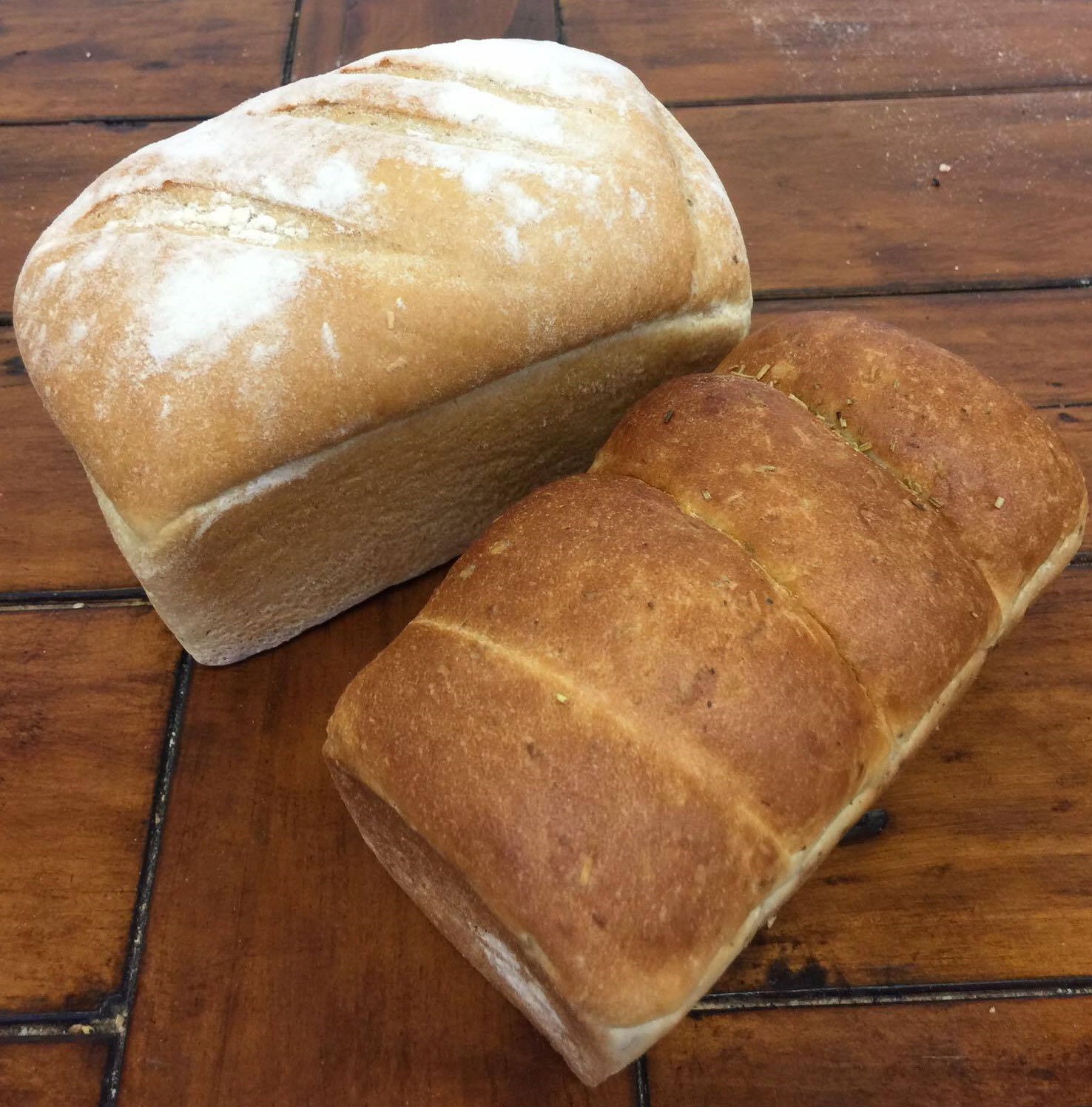 Breads of Europe | speciality bread products