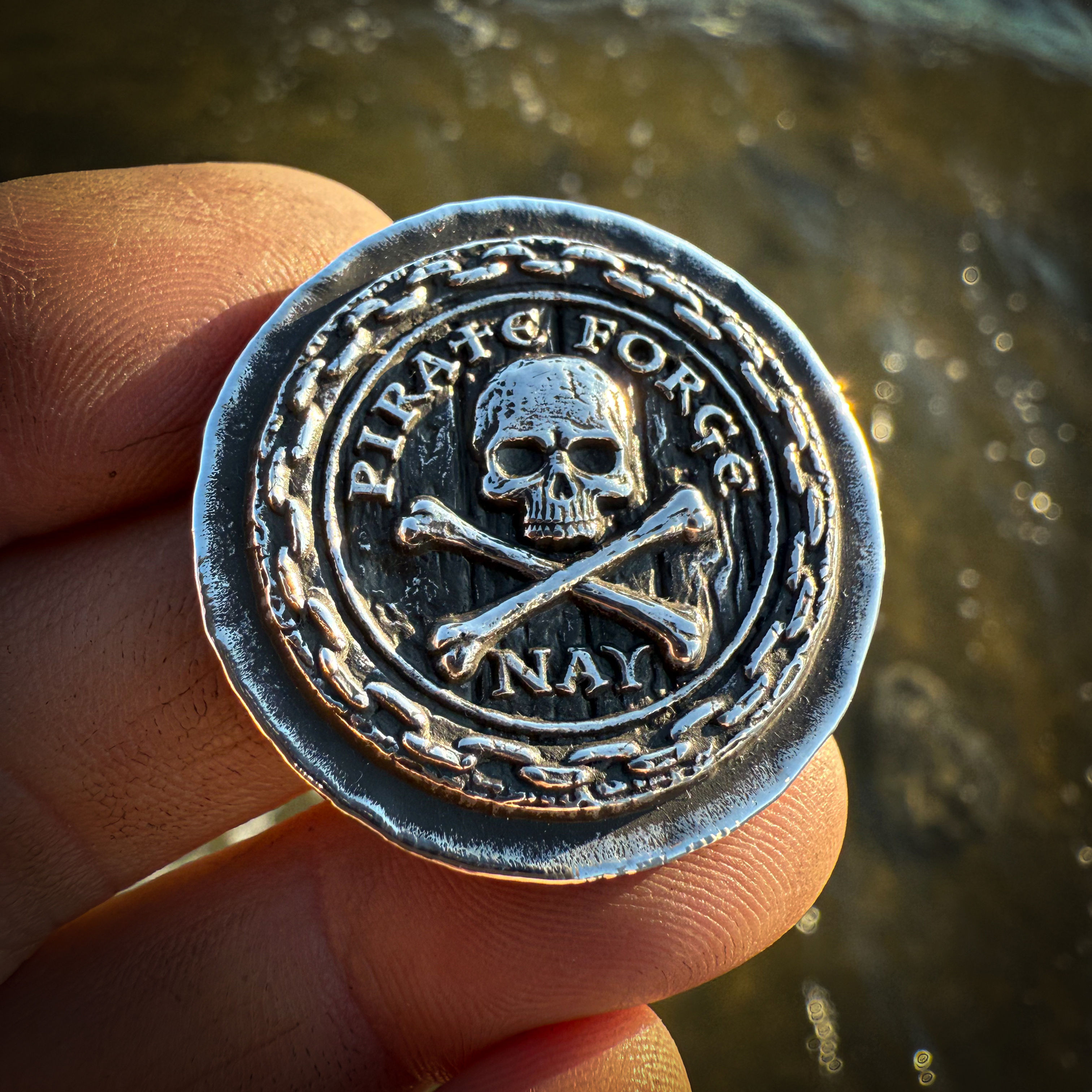 #8 Forged Silver Pirate Coin | Mysite