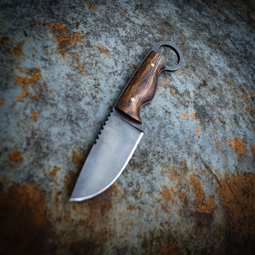 Whiskey Pirate Edition Raven EDC/4 | Mysite