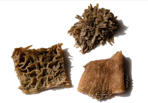 Beef Green Tripe Additive | Mathis Meat