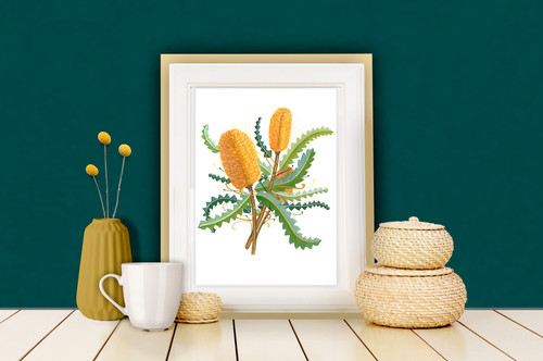 Banksia Art Print | Zenti Designs