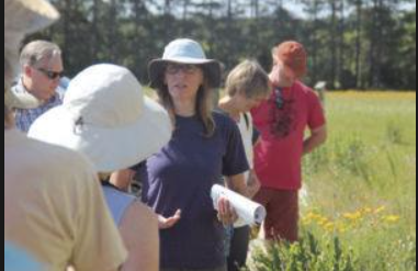 Talk and Walk with Heather Holm | The Thinking Spot