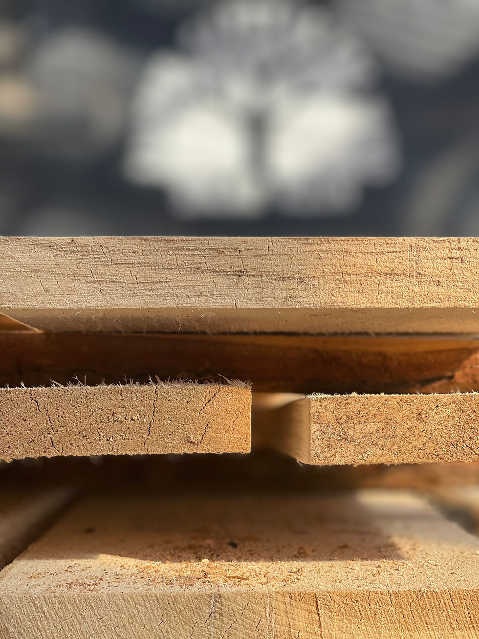 SHOP | Lumber Capital Log