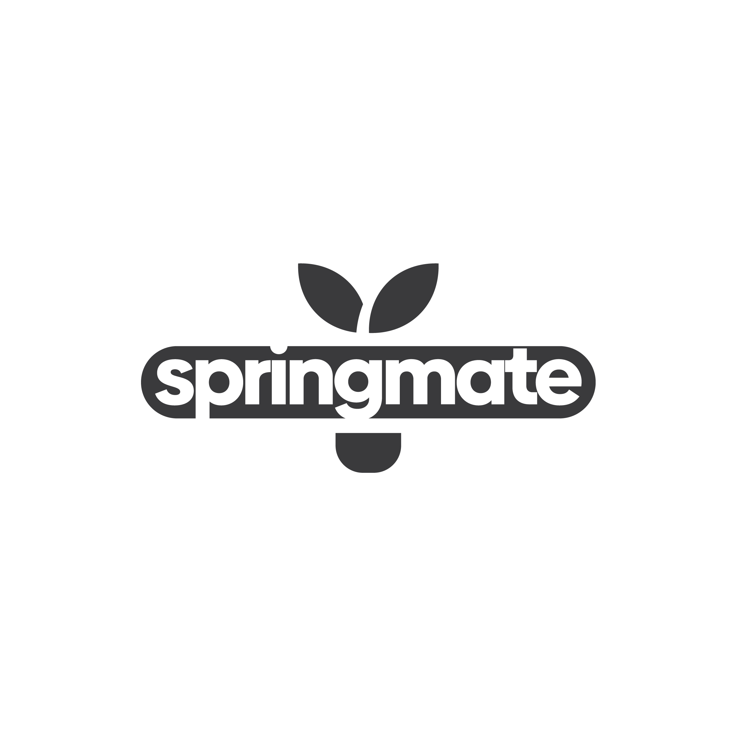 หนัาหลัก | Springmateusa