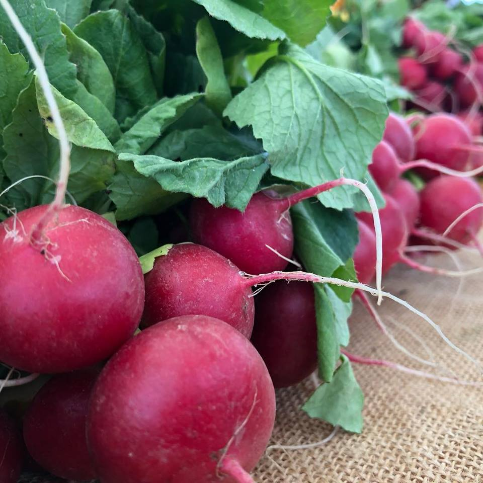 4 Foods to Help You Get Grounded