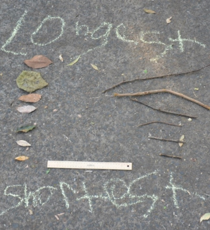 Week 8 - Stick Olympics