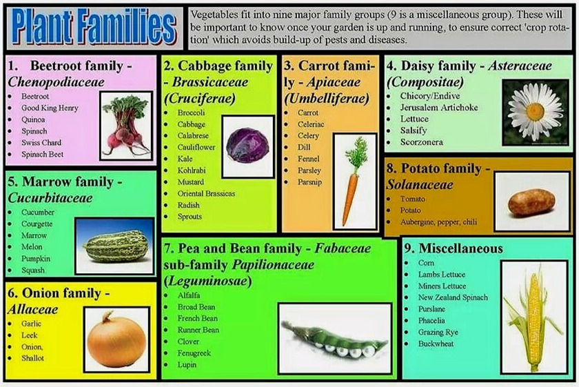 Crop Planning: Part 1