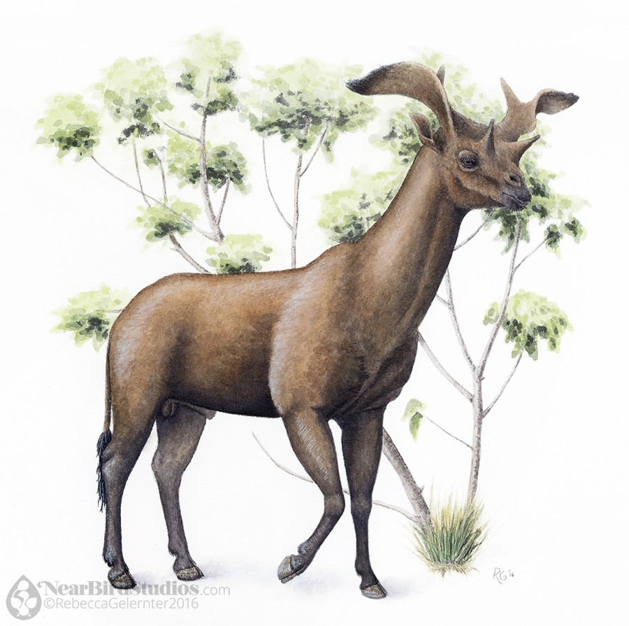 Sivatherium