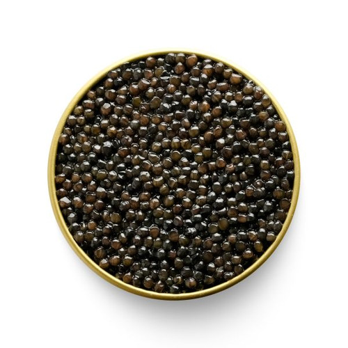 Beluga Hybrid Caviar (Italy) | Masha Moro Caviar