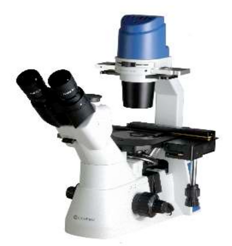 Inverted Oxion Inverso Biological Microscope with Mechanical Stage for ...