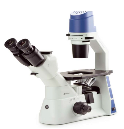 Inverted Oxion Inverso Brightfield Phase Contrast Microscope - Micro ...