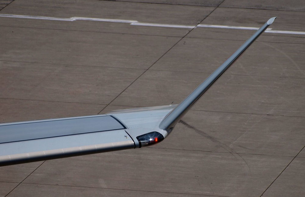 The Evolution of Winglets