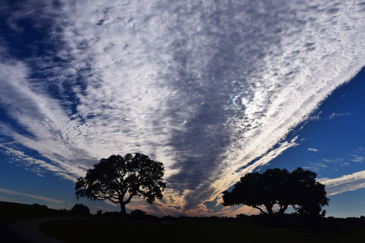 Understanding Cloud Types