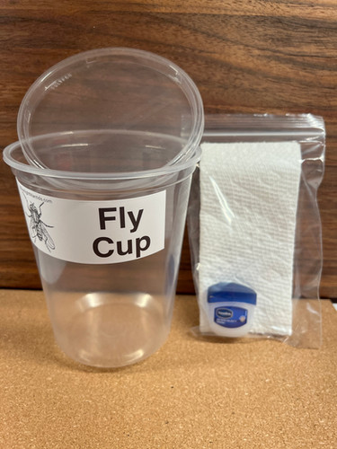 Fly Cup Kit | Moonlight Mantids