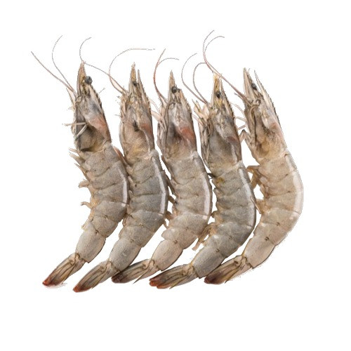 King Prawns (2kg box) | Duro Food