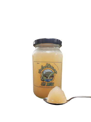 Sea Moss Jelly | SaladVision