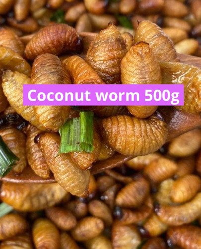 Deep Fried Coconut Worm #500g | Thiana Best Jerky