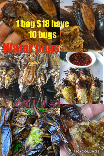 10 Water Bugs in a bag | Thiana Best Jerky